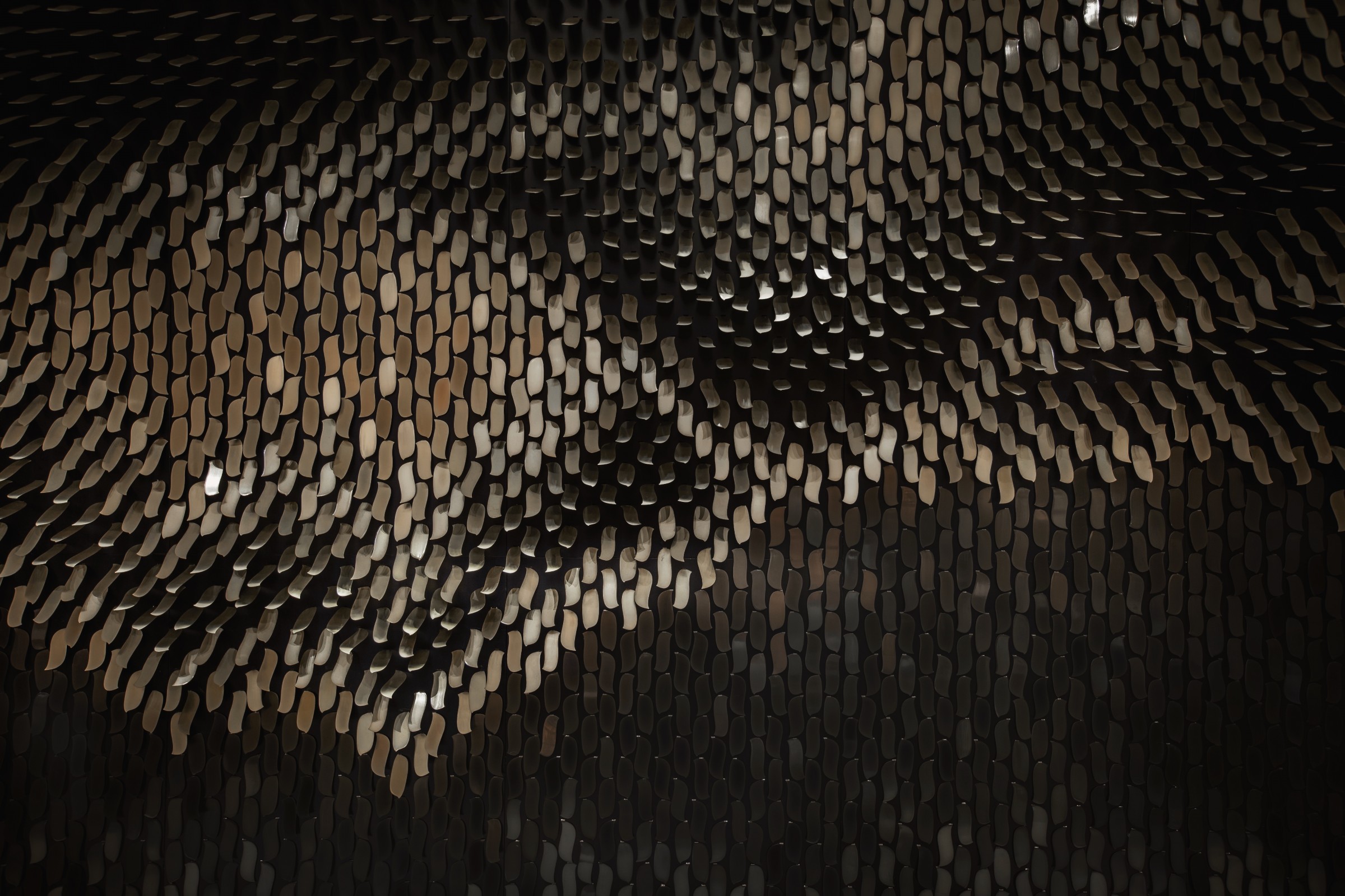 Lotus - Giles Miller Studio