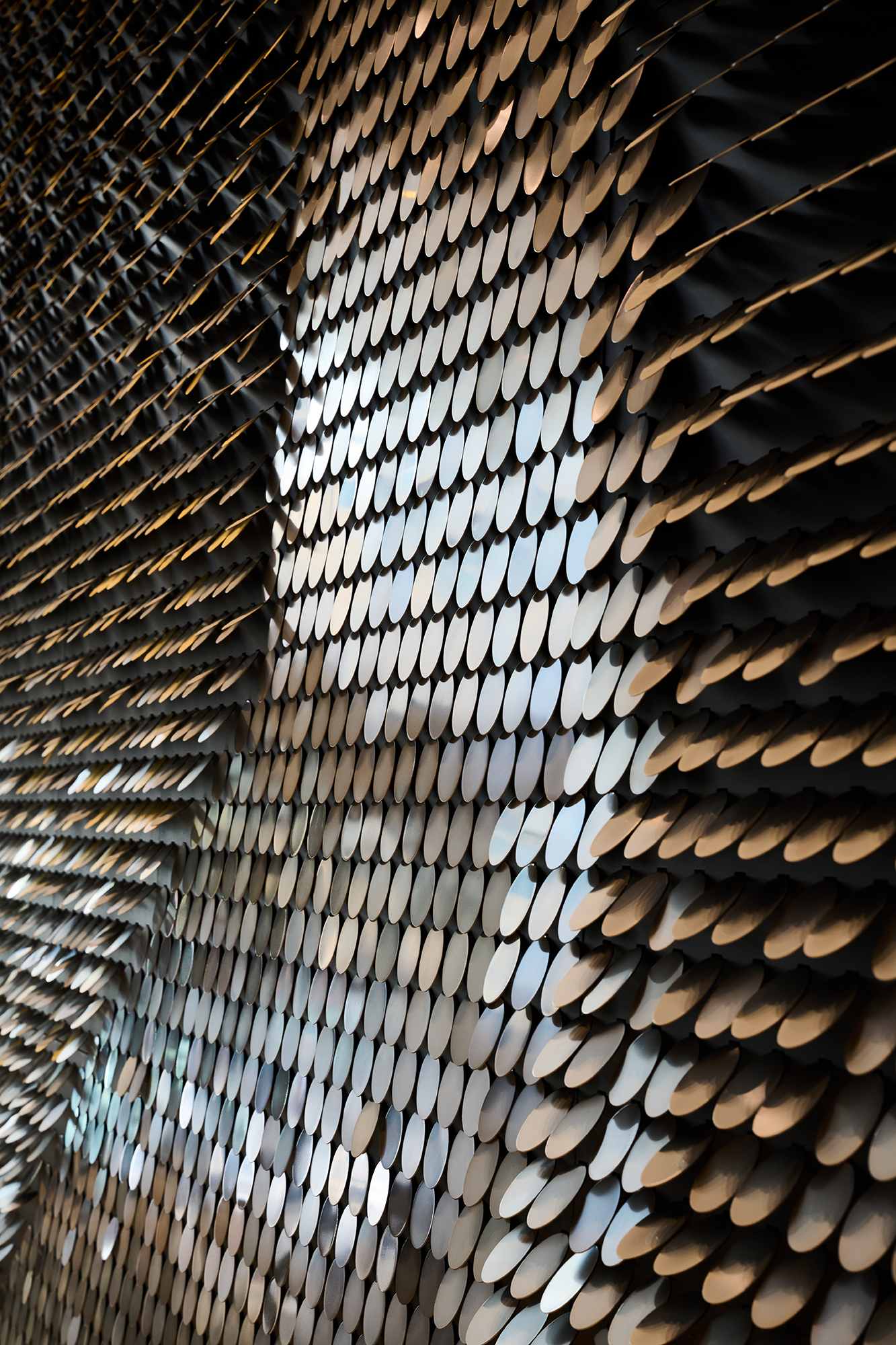 Surface - Giles Miller Studio