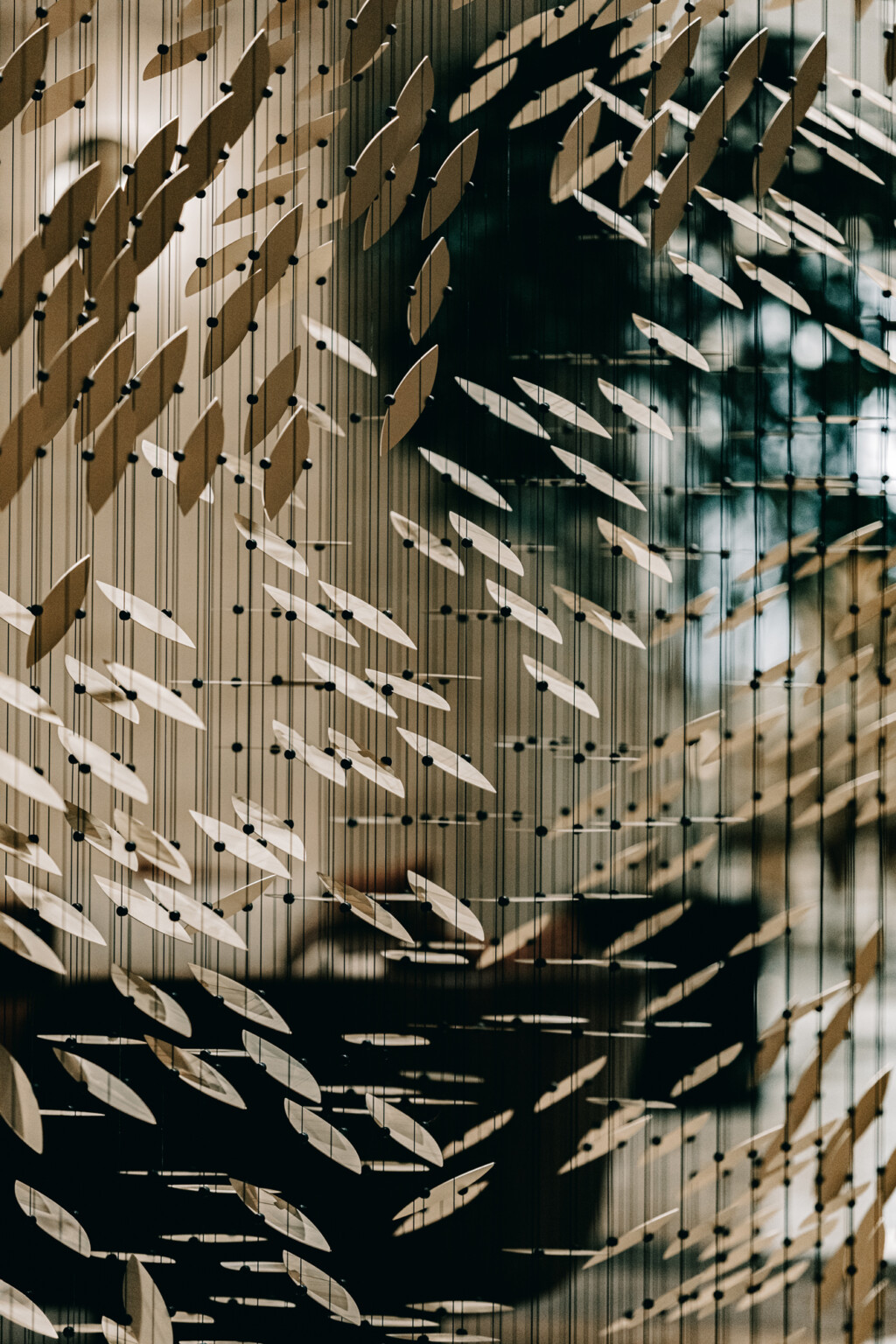Falling Still - Giles Miller Studio
