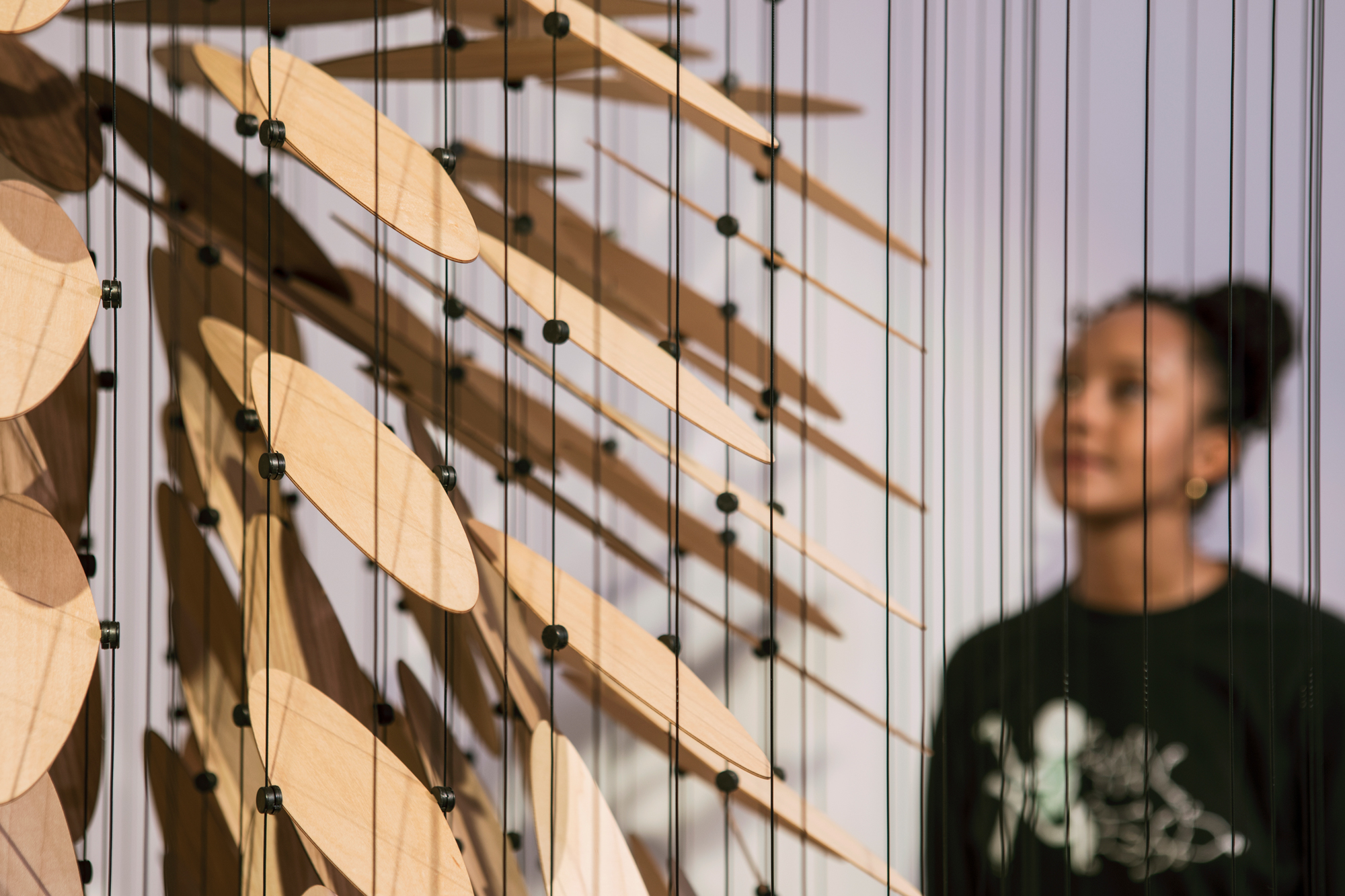 Awaken - Giles Miller Studio