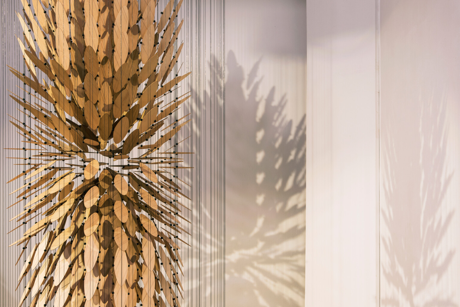 Awaken - Giles Miller Studio