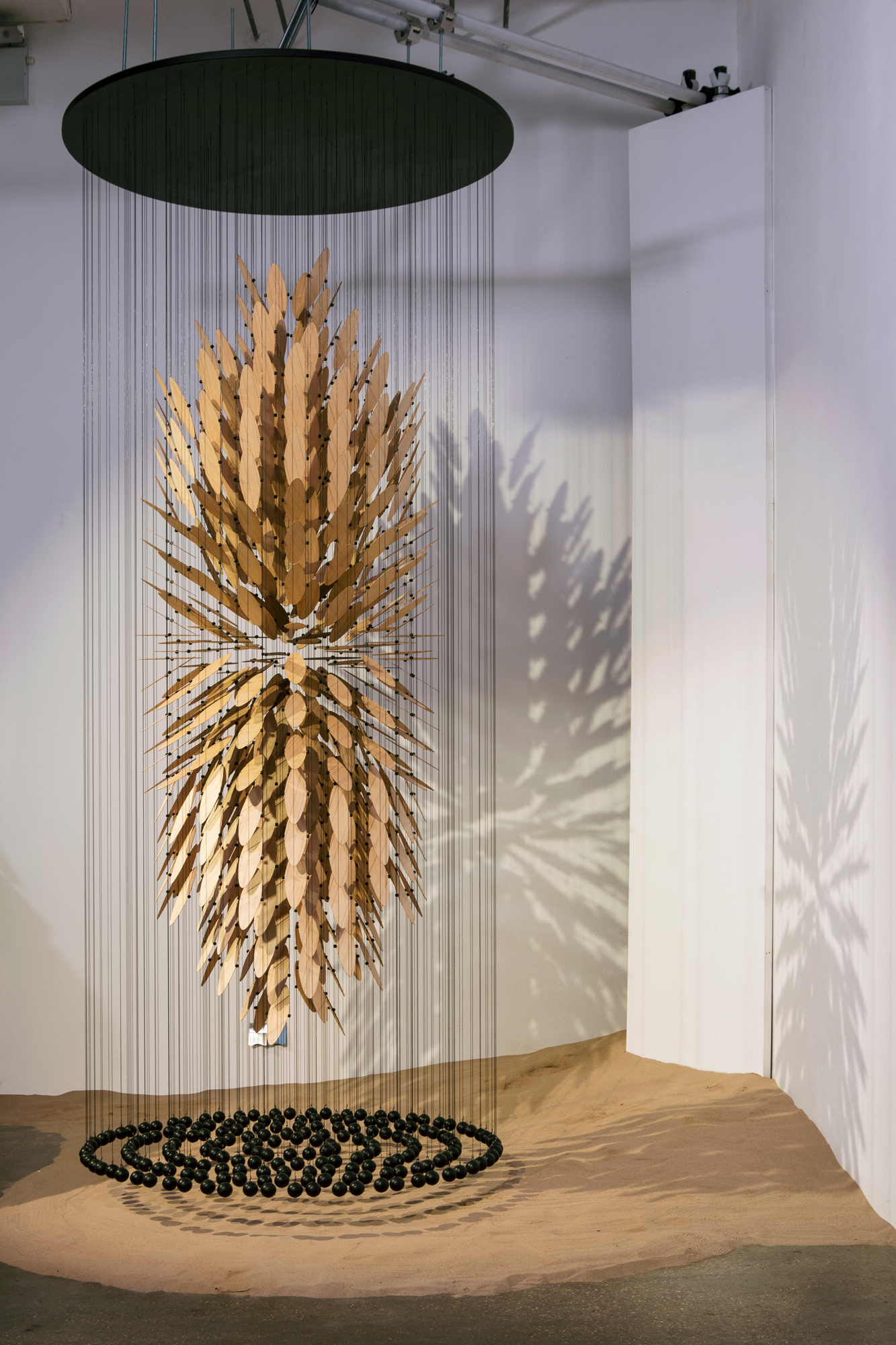 Awaken - Giles Miller Studio