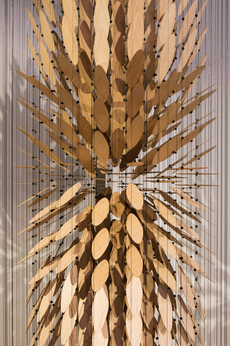 Awaken - Giles Miller Studio