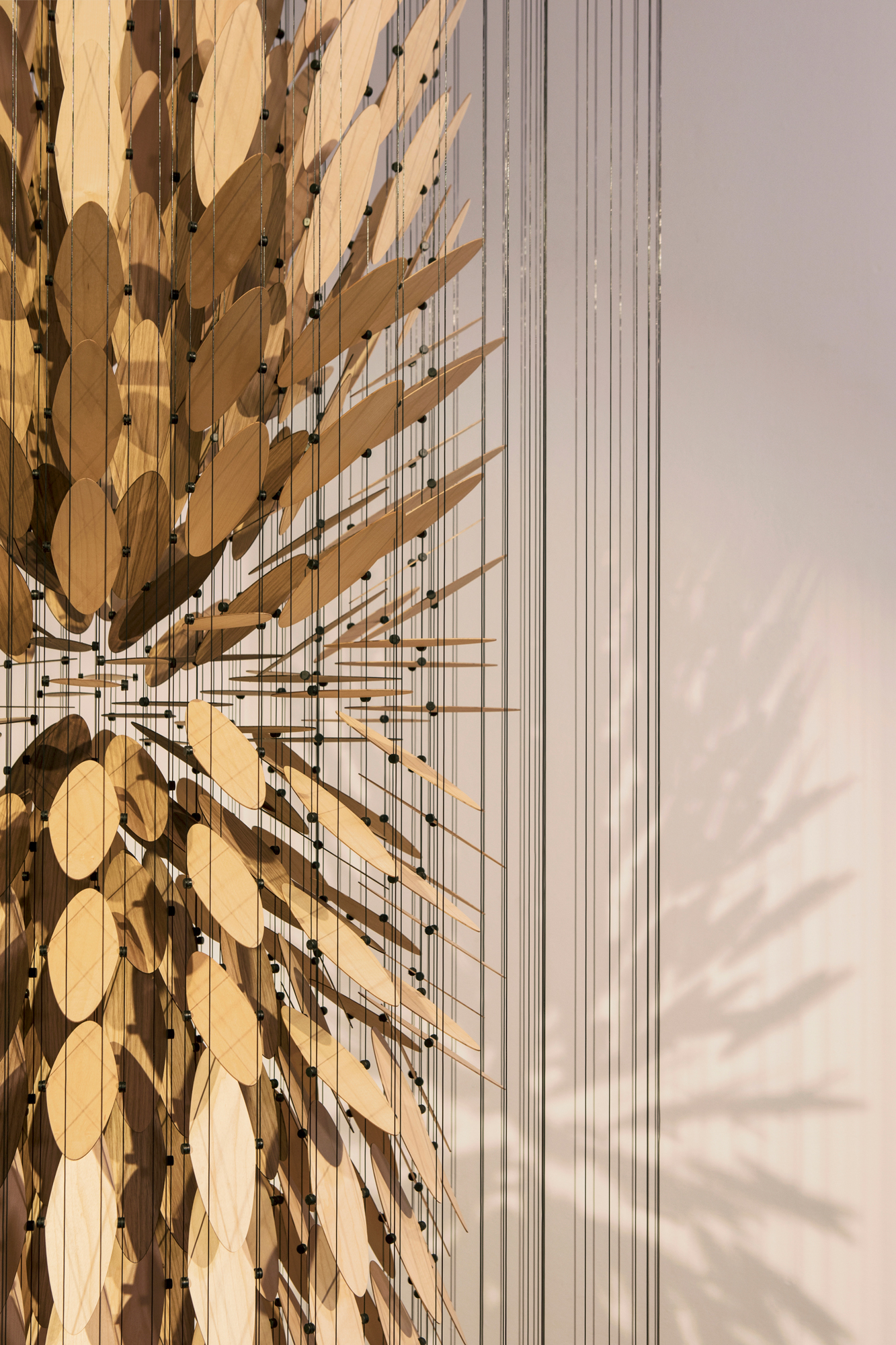 Awaken - Giles Miller Studio