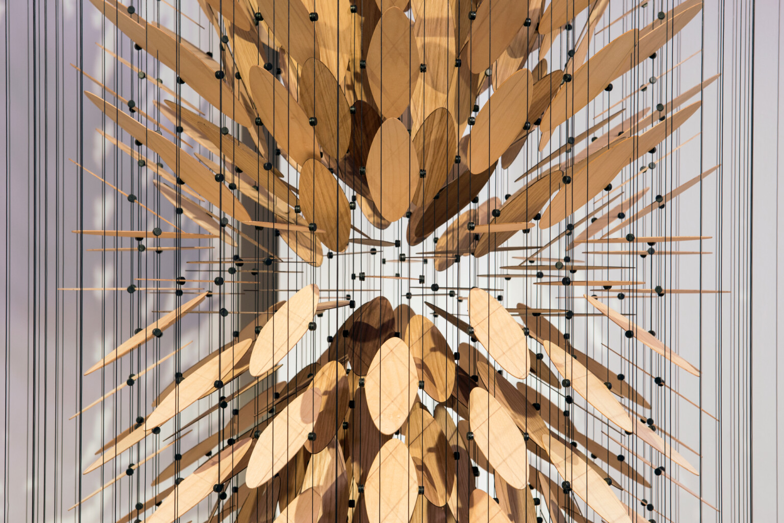 Awaken - Giles Miller Studio